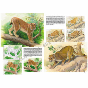 Leonardo Collection Animal Books - Artsavingsclub