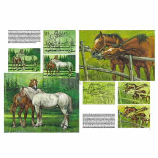 Leonardo Collection Animal Books - Artsavingsclub