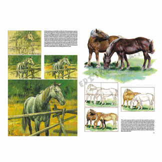 Leonardo Collection Animal Books - Artsavingsclub