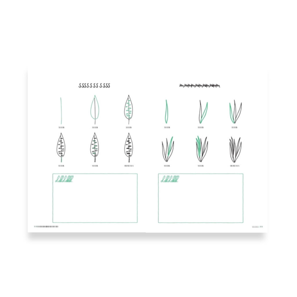 Botanical Drawing Books - Artsavingsclub