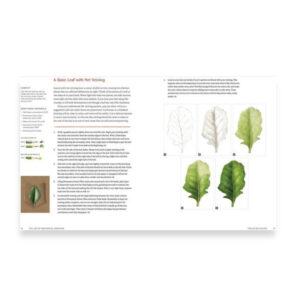 Botanical Drawing Books - Artsavingsclub