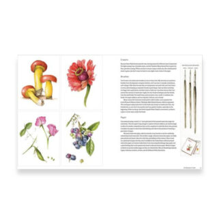 Botanical Drawing Books - Artsavingsclub