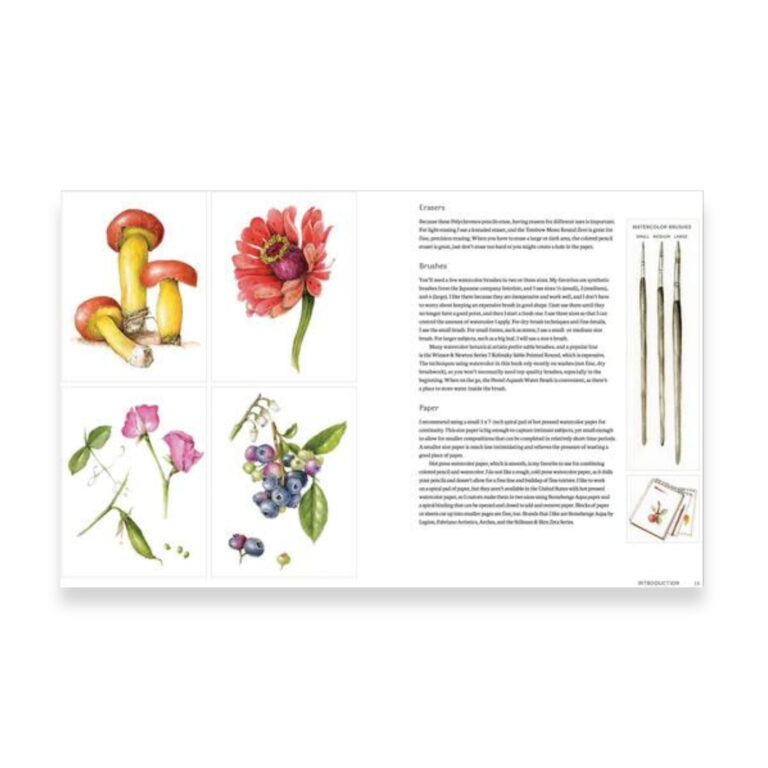 Botanical Drawing Books - Artsavingsclub